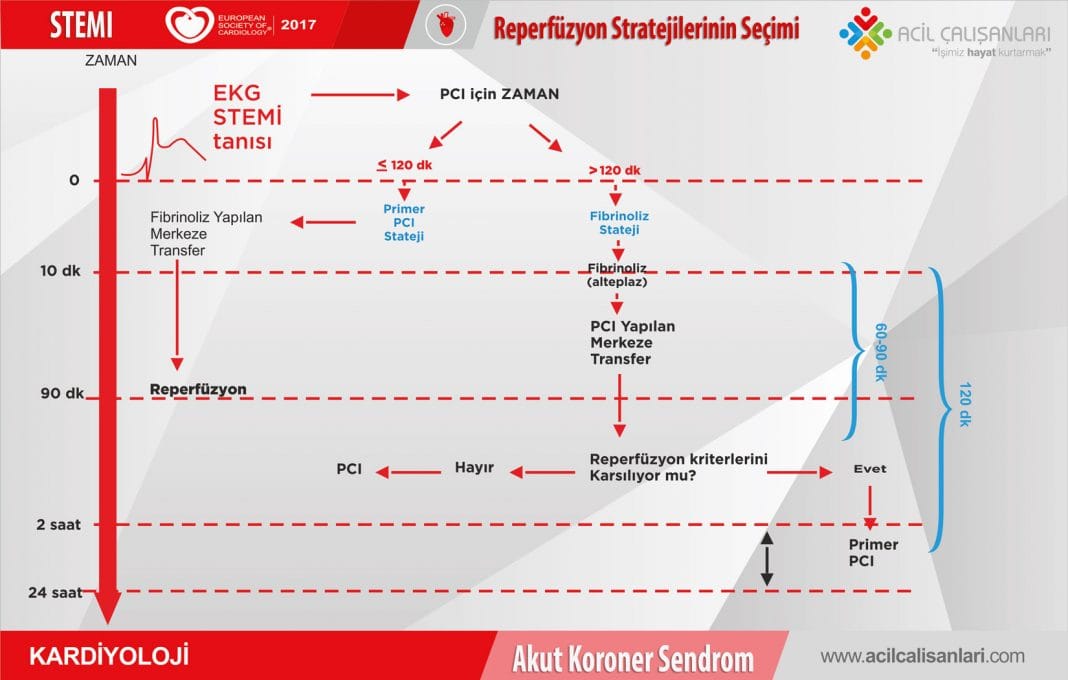ST Eleve Miyokard İnfarktüsü (STEMİ) Kılavuzu ESC 2017 | Acil Çalışanları