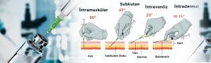 Kas İçi (İntramuskuler - İM) Enjeksiyon | Acil Çalışanları