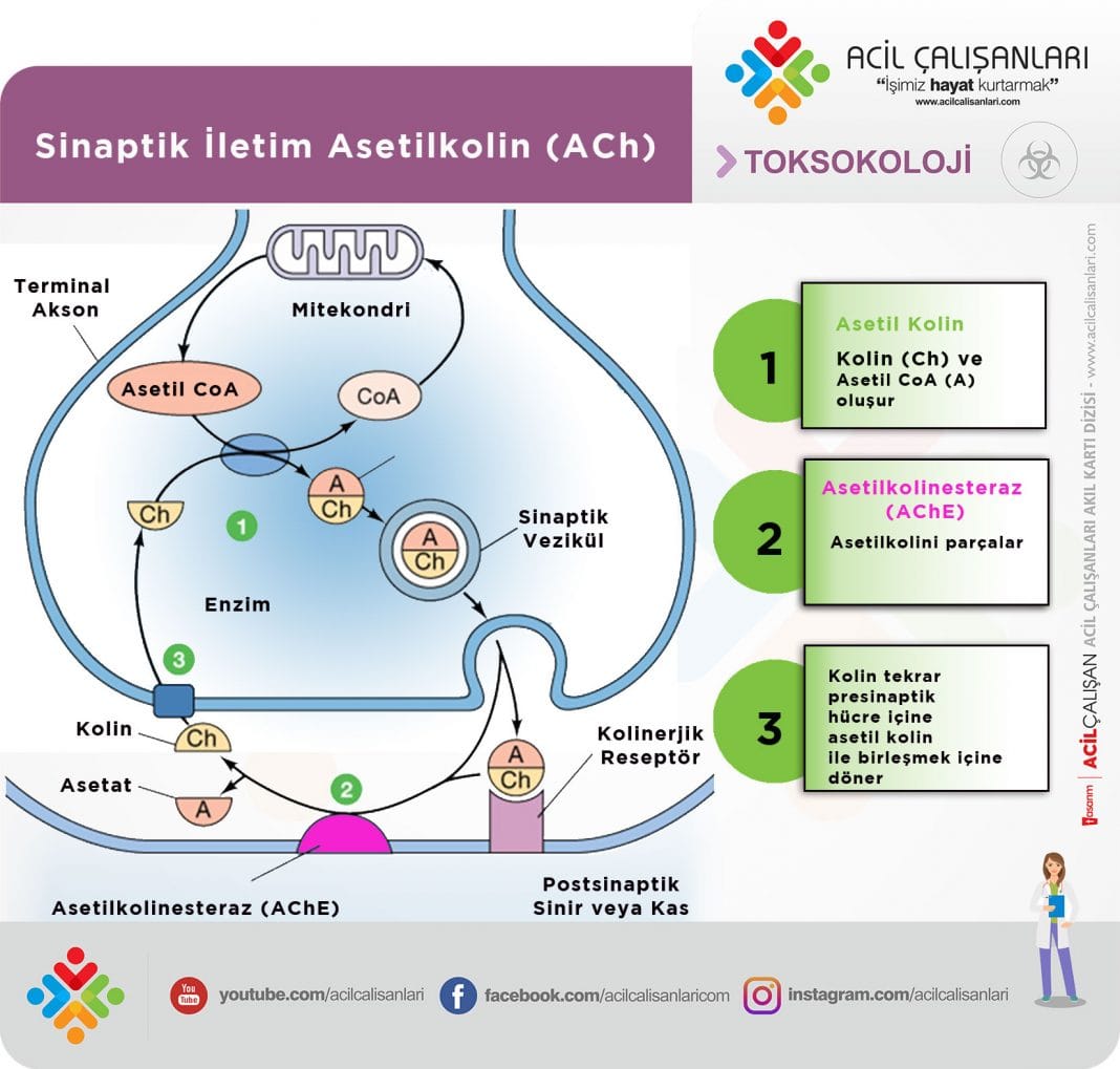 Organofosfat ve Karbamat Zehirlenmeleri | Acil Çalışanları