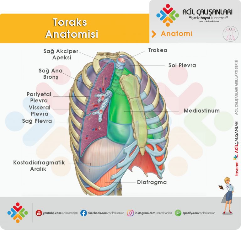 Acilde Toraks BT Değerlendirilmesi | Acil Çalışanları