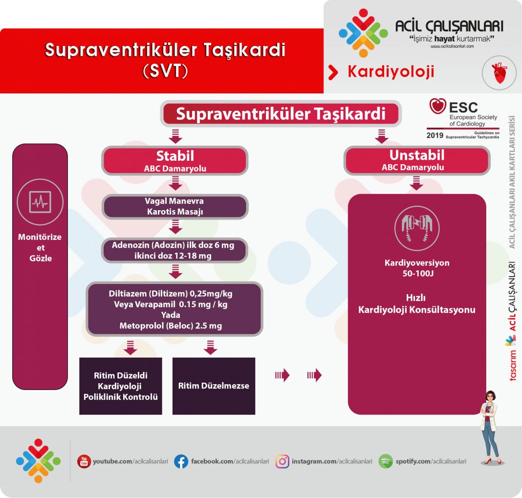 Supraventriküler Taşikardi (Dar – Düzenli Taşikardi) (SVT) Akıl Kartı ...