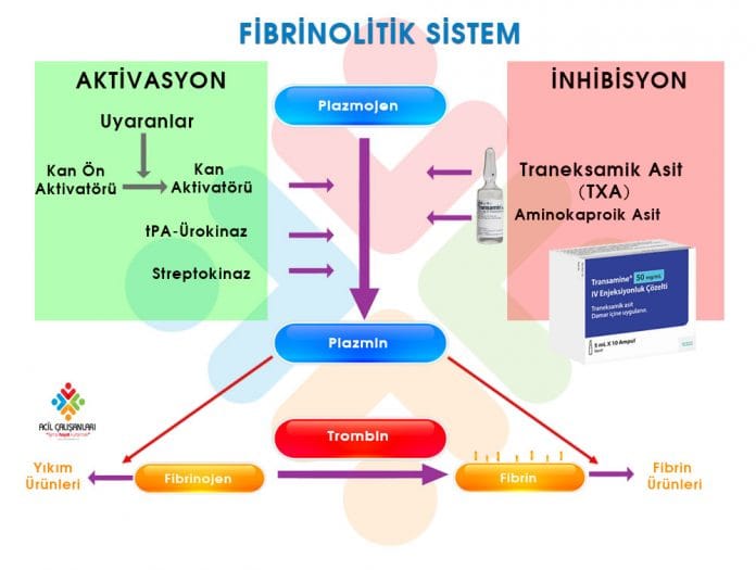 Traneksamik Asit (TXA) Transamine Uygulama Akıl Kartı | Acil Çalışanları