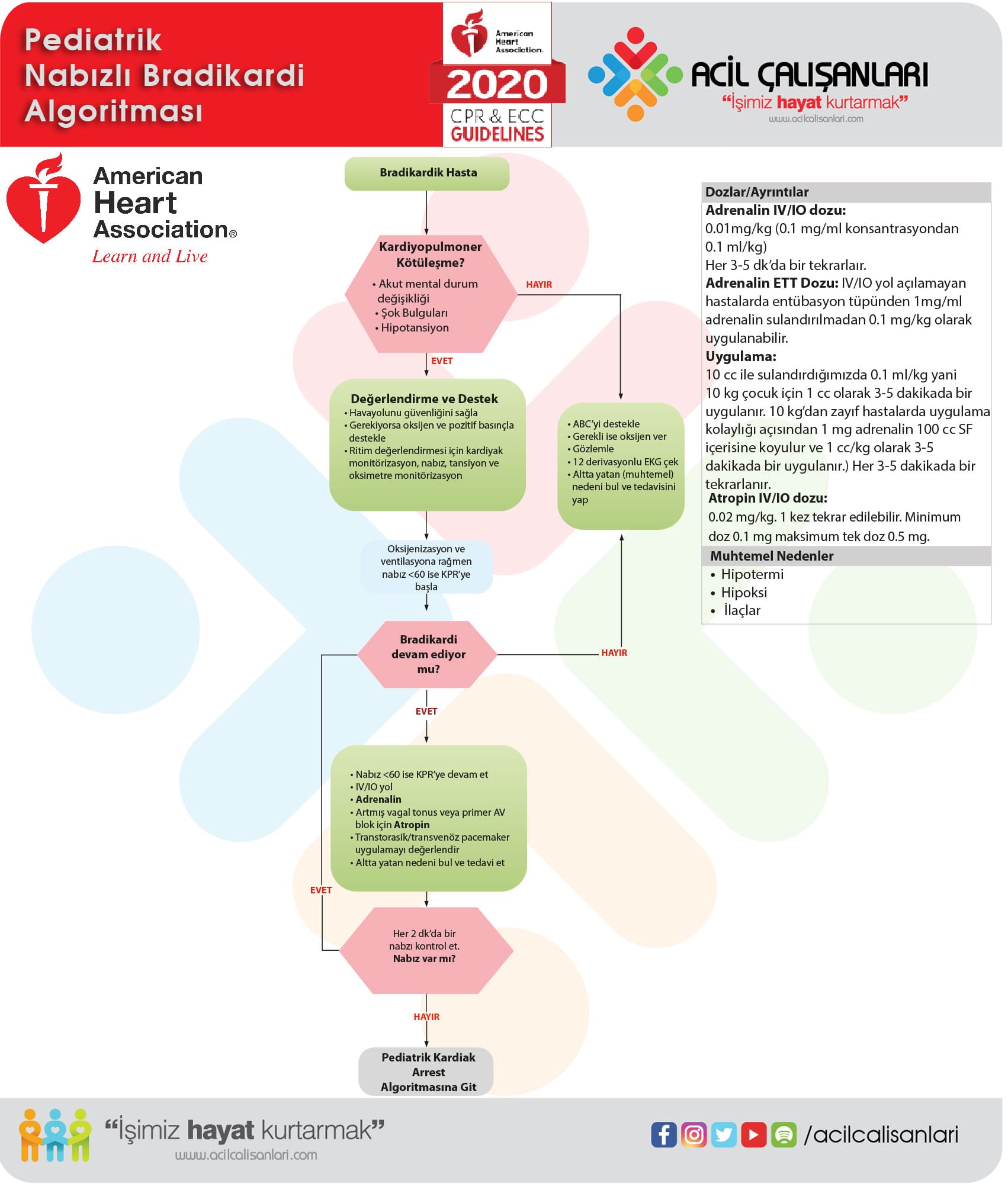 Pediatrik Nabızlı Bradikardi Algoritması Akıl Kartı 2020 AHA | Acil ...