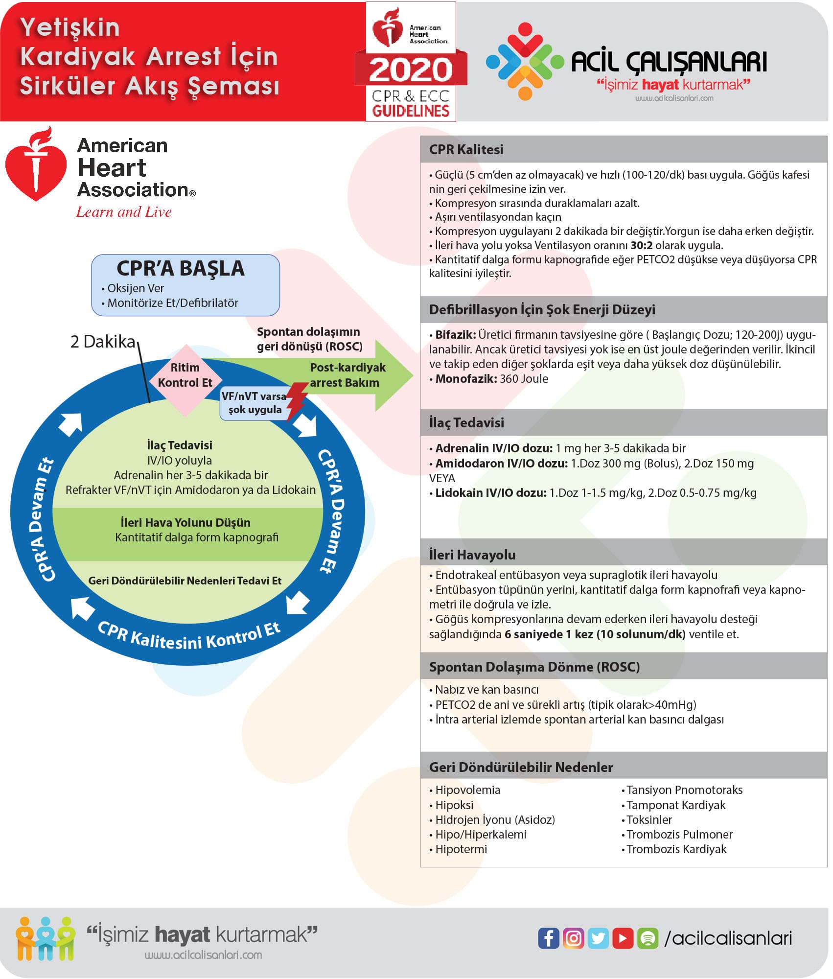 Yetişkin Kardiyak Arrest İçin Sirküler Akış Şeması Akıl Kartı | Acil ...