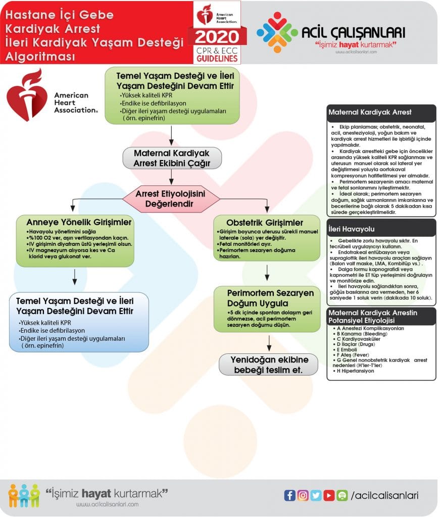 Gebe Kardiyak Arrest Algoritması Akıl Kartı AHA 2020 | Acil Çalışanları