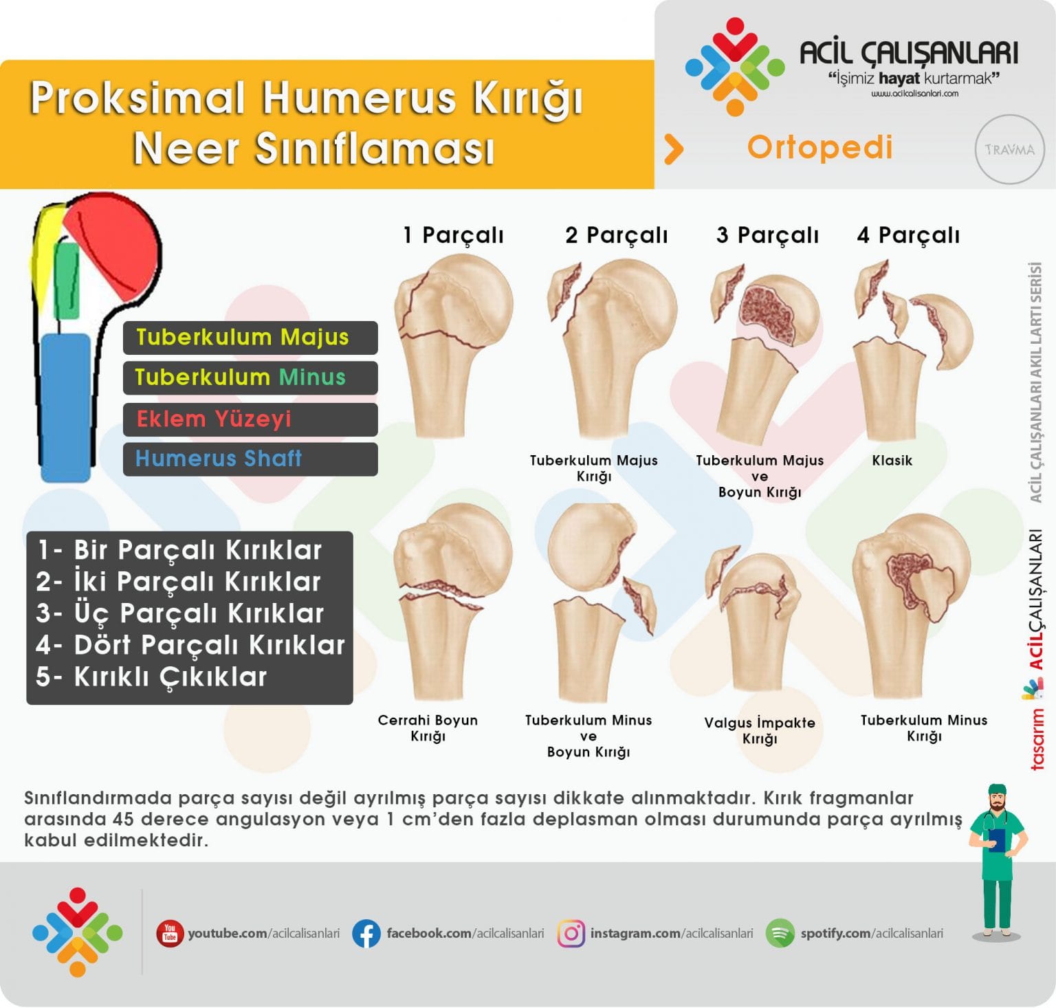 Proksimal Humerus Kırıkları | Acil Çalışanları