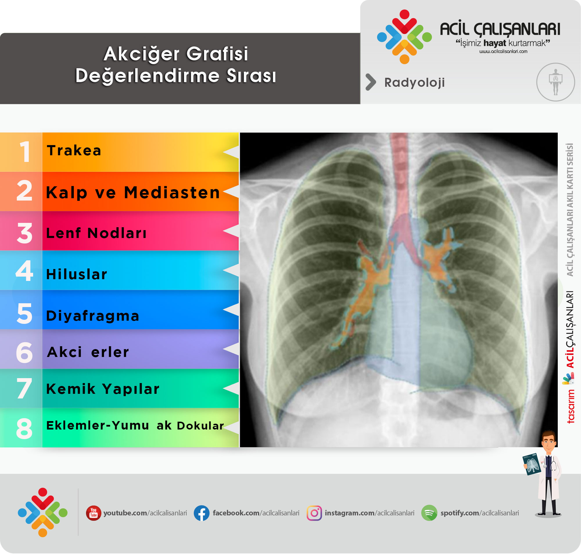Akciğer Grafisi Değerlendirme | Acil Çalışanları
