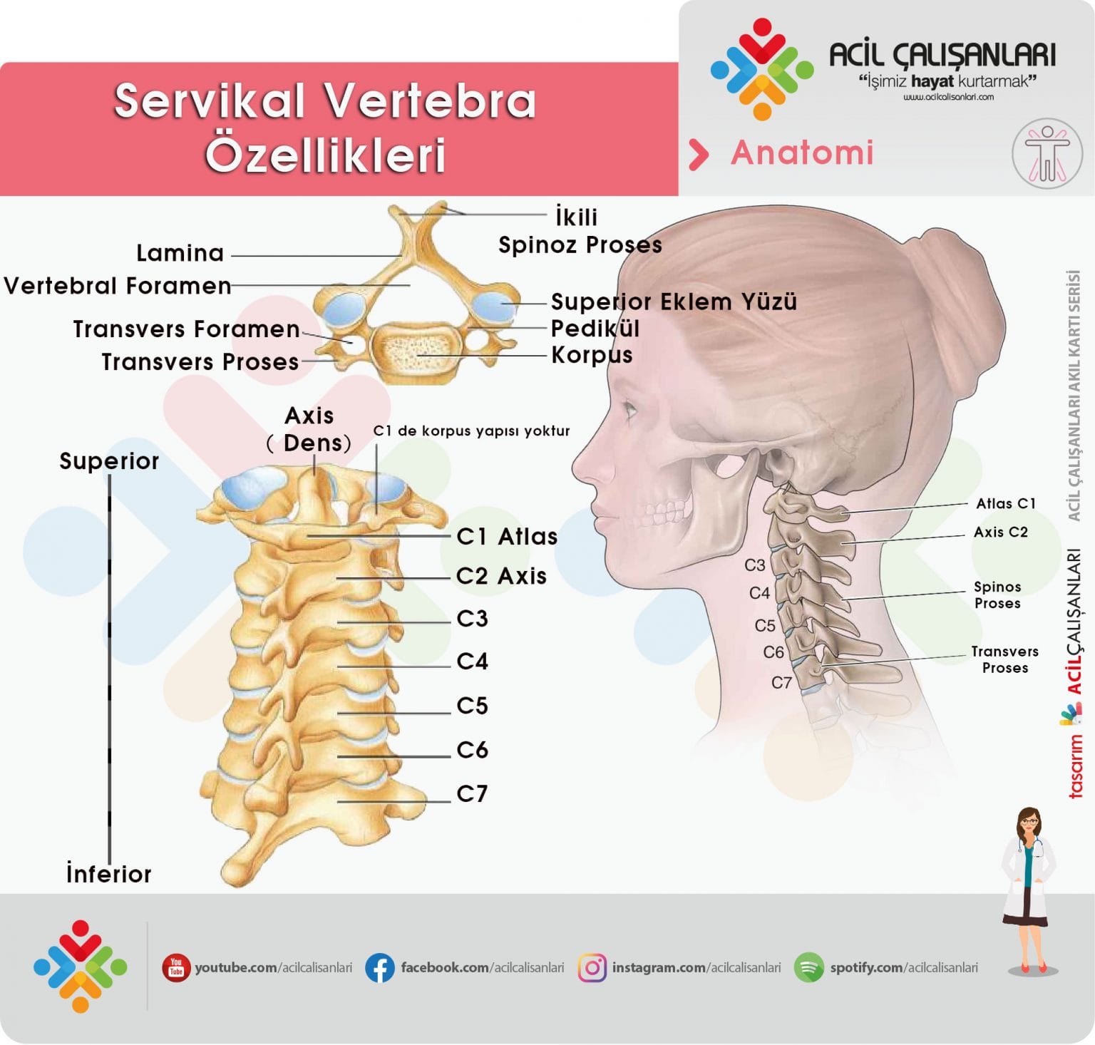 Servikal Grafi Değerlendirilmesi | Acil Çalışanları