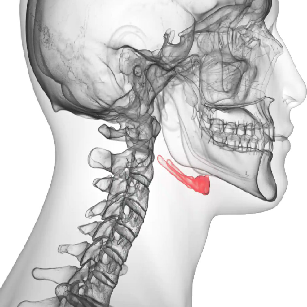 Servikal Grafi Değerlendirilmesi | Acil Çalışanları