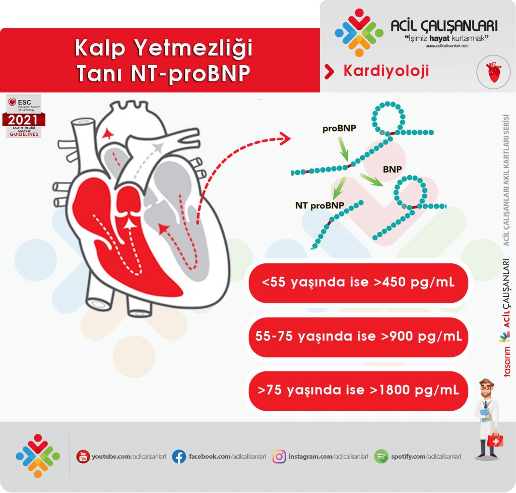 Kalp Yetmezliğine Genel Yaklaşım - Acil Çalışanları