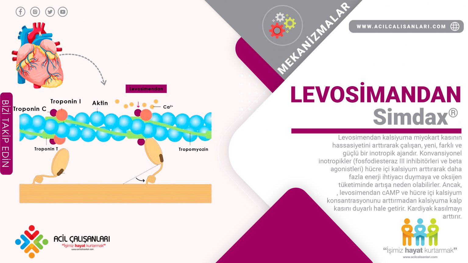 Levosimendan (Simdax) Uygulama Akıl Kartı - Acil Çalışanları