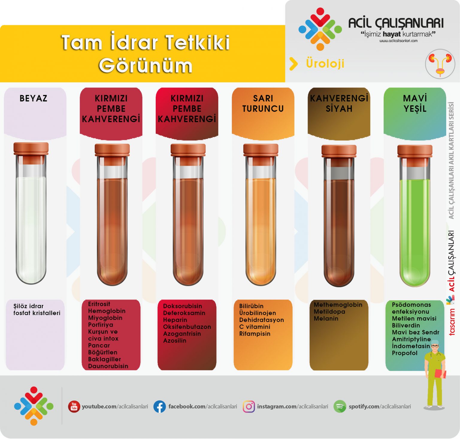 Tam İdrar Tetkiki (TİT) Değerlendirilmesi | Acil Çalışanları