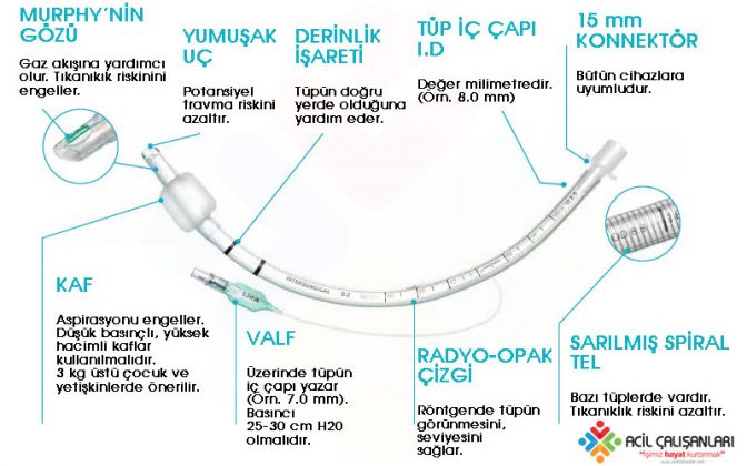 Endotrakeal Entübasyon | Acil Çalışanları