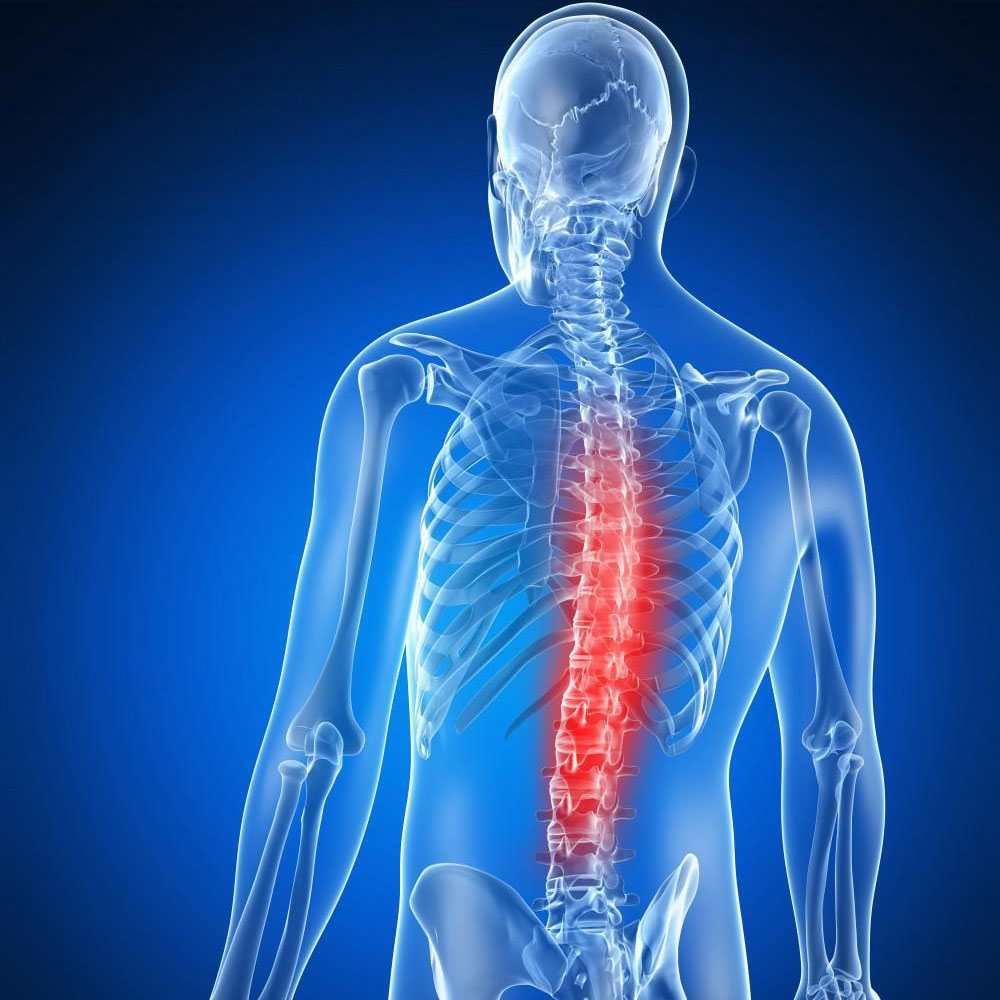 Torakal Vertebra Grafisi Değerlendirilmesi | Acil Çalışanları