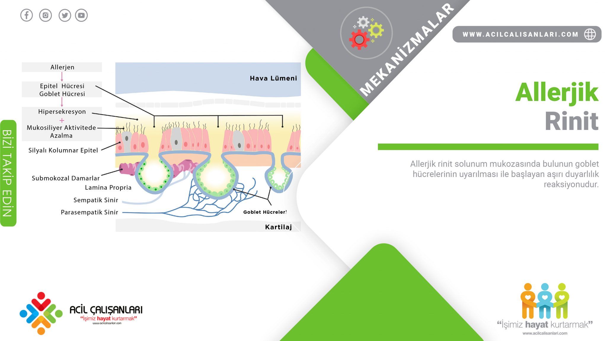Rinit Acil Yaklaşım | Acil Çalışanları