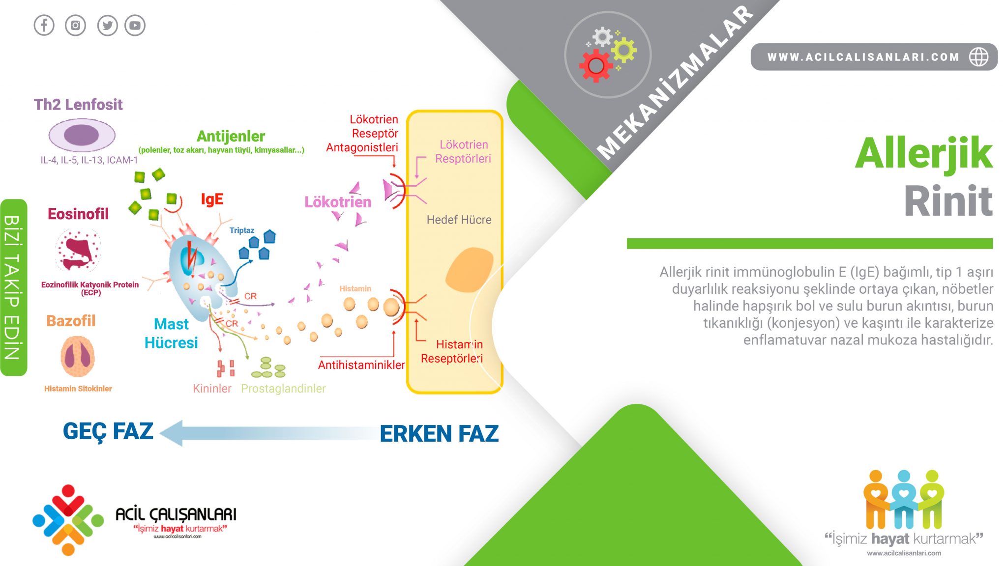 Rinit Acil Yaklaşım | Acil Çalışanları