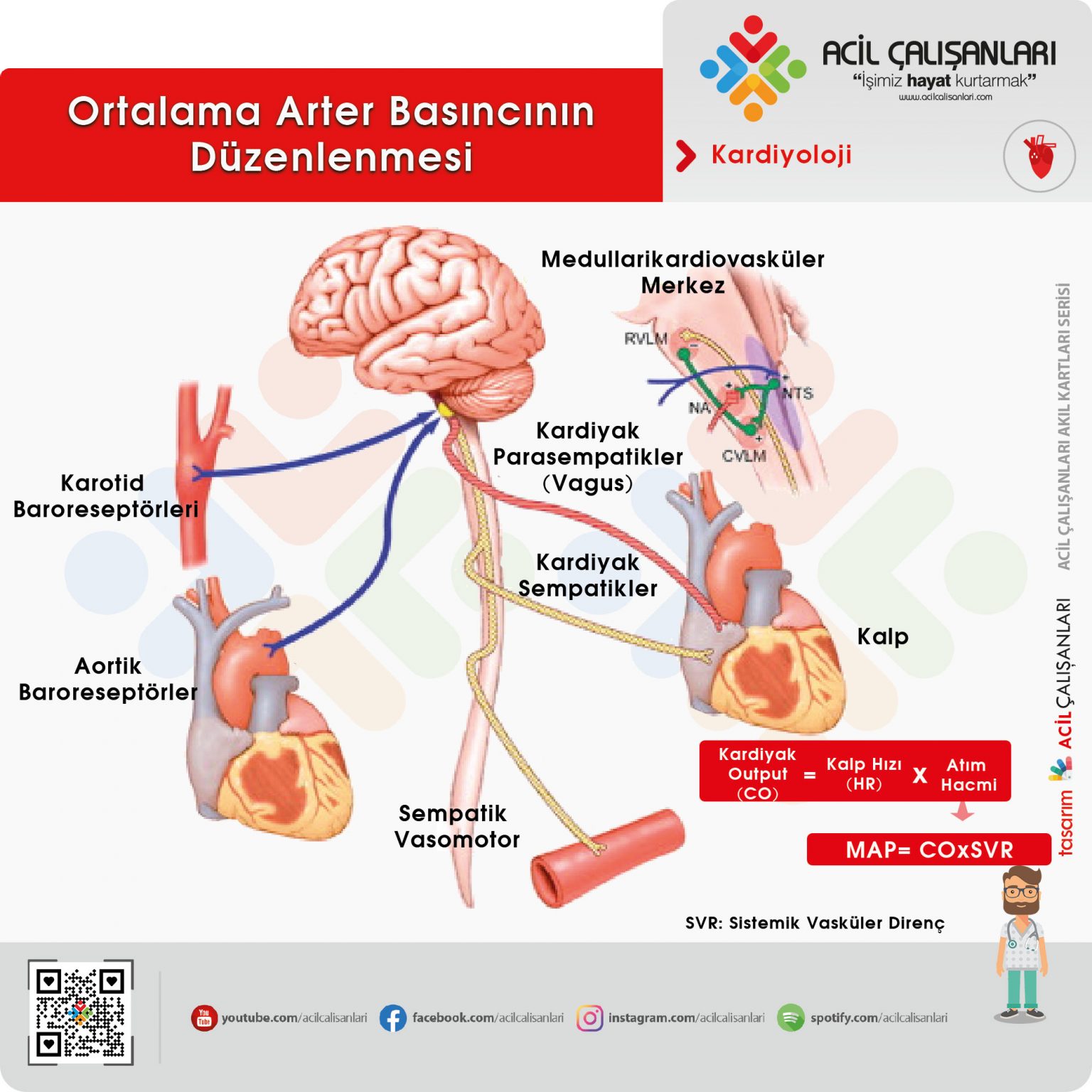 Ortalama Arter Basıncı (MAB) Akıl Kartı | Acil Çalışanları