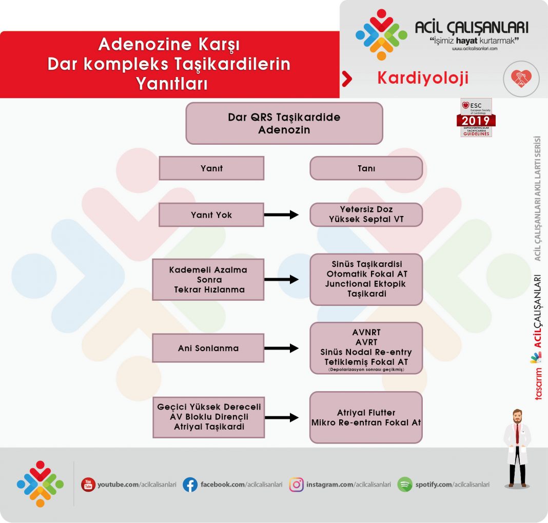 Supraventriküler Taşikardi (SVT) Kılavuzu ESC 2019 | Acil Çalışanları