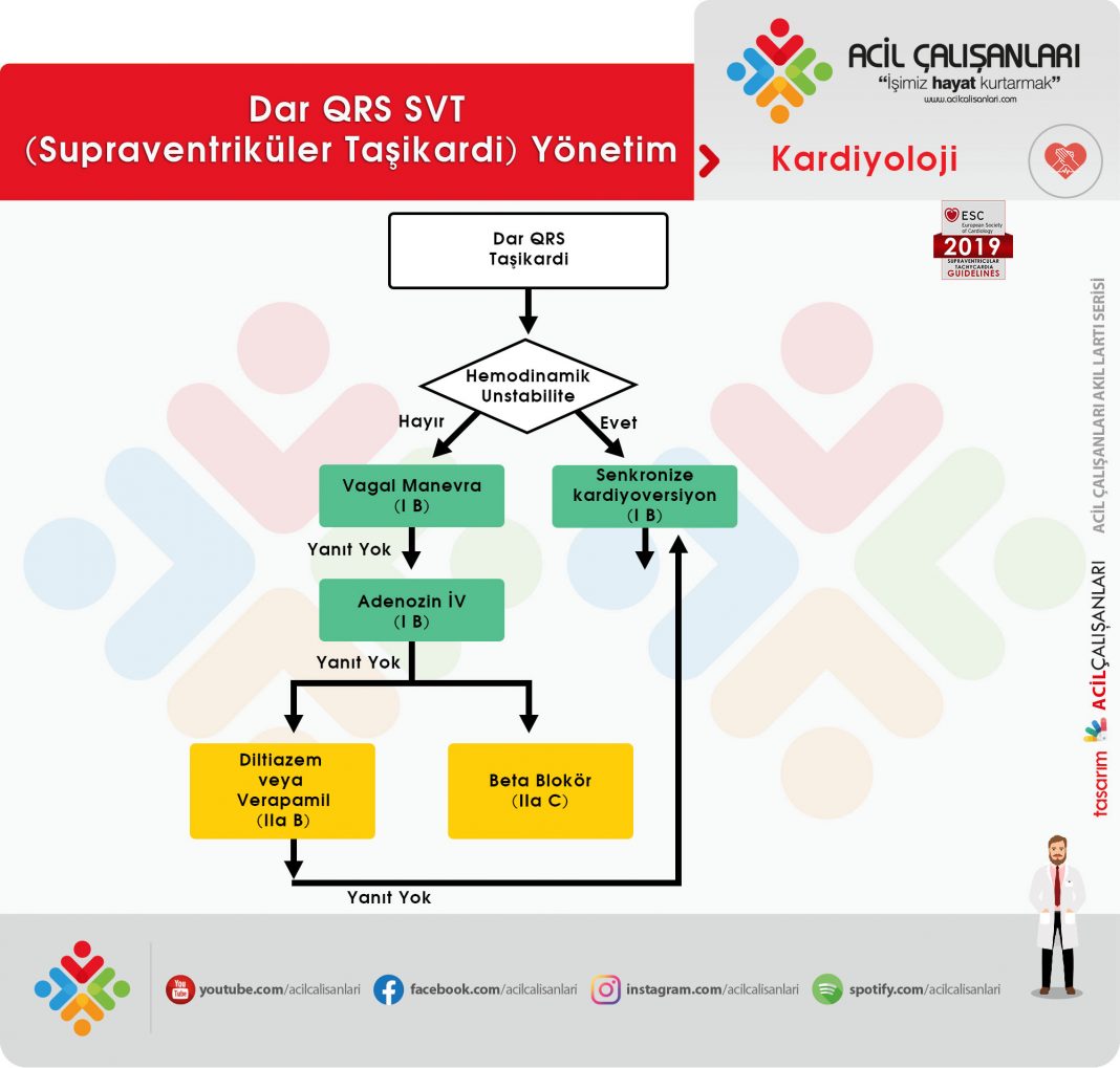Supraventriküler Taşikardi (SVT) Kılavuzu ESC 2019 | Acil Çalışanları