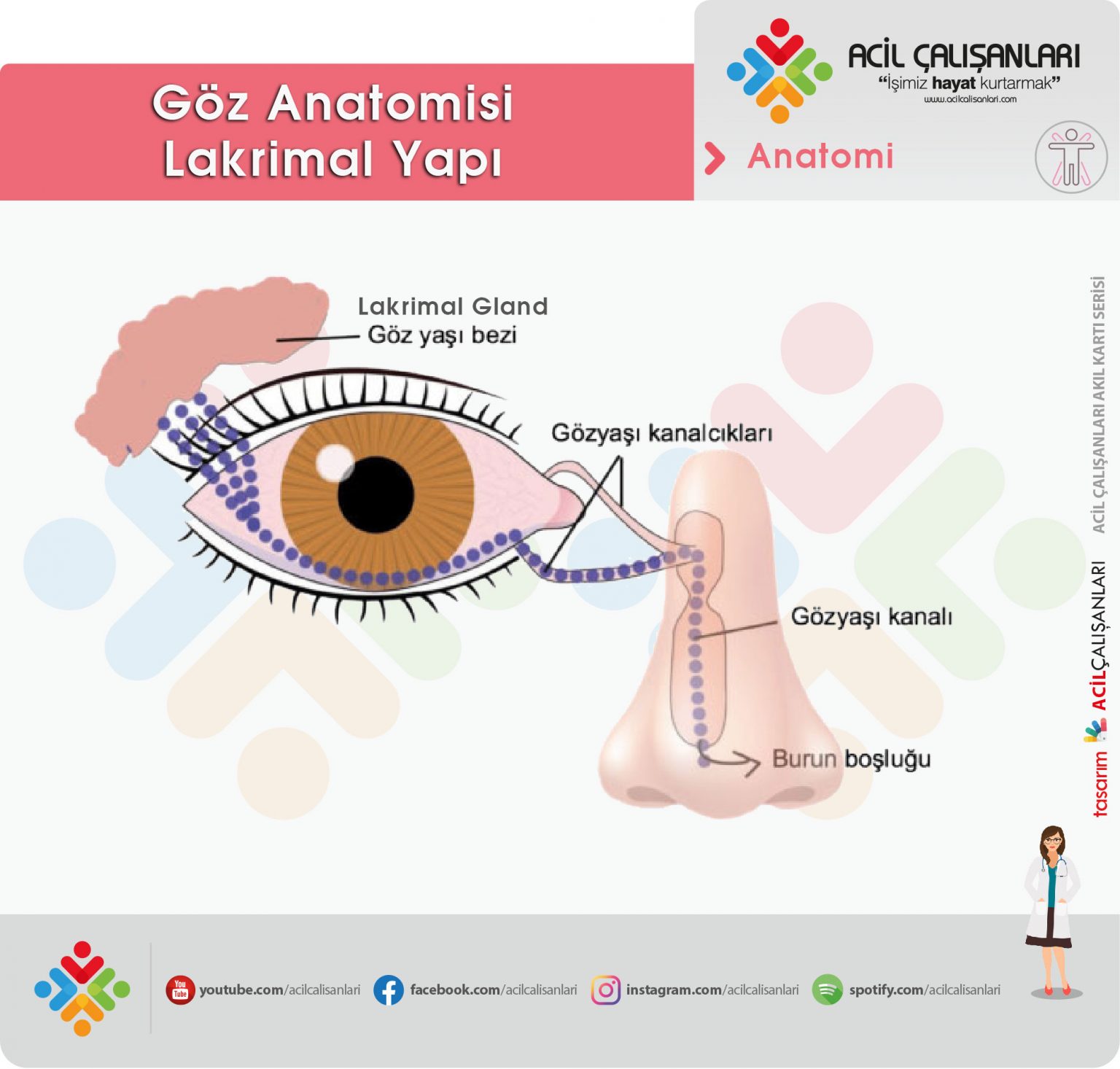 Göz Acillerine Yaklaşım - Acil Çalışanları