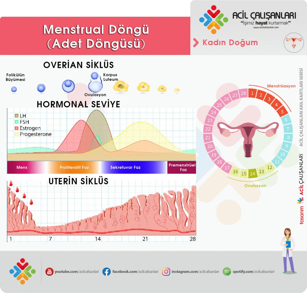 Dismenore Acil Yaklaşım | Acil Çalışanları