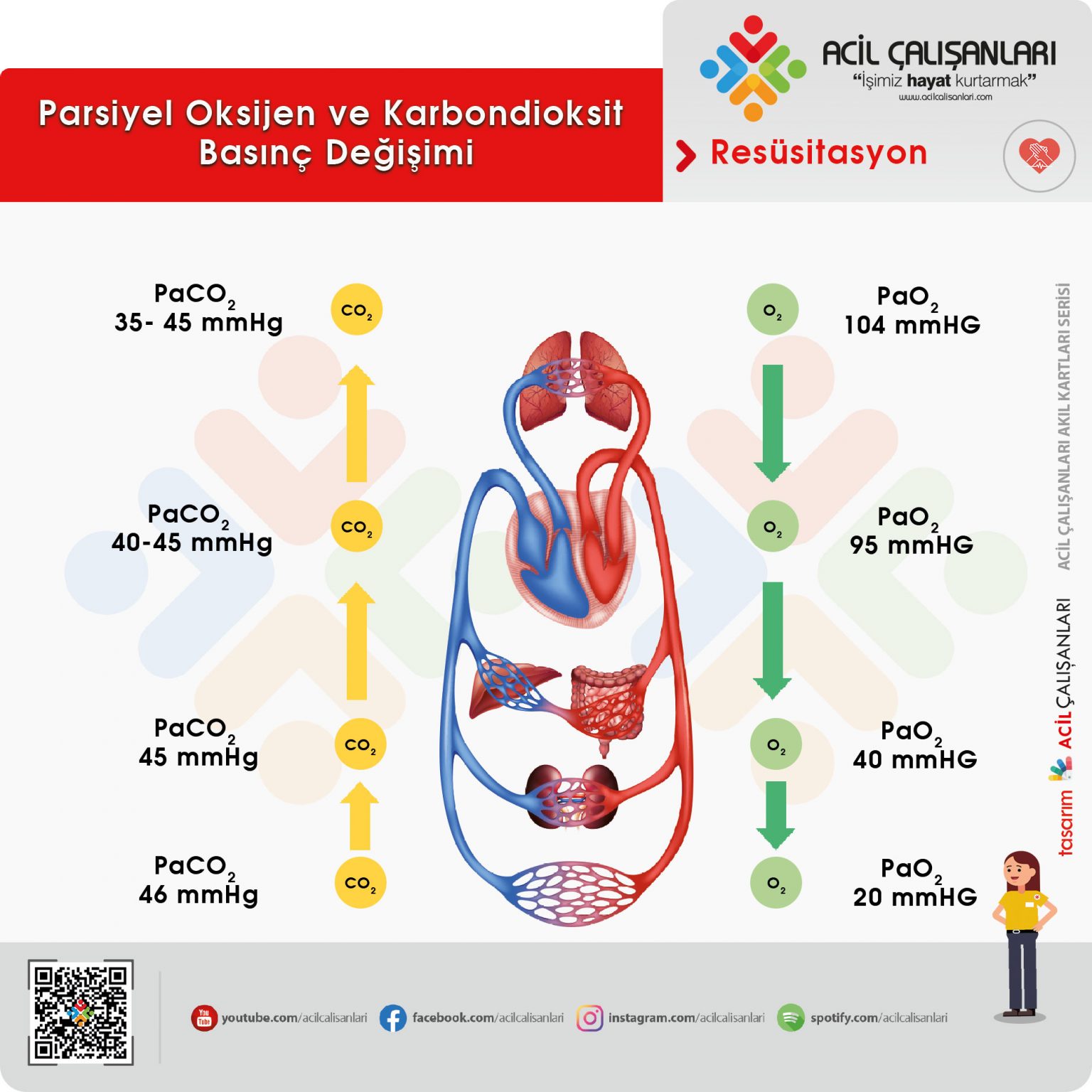 Endtidal Karbondioksit (EtCO2) Kapnografi | Acil Çalışanları