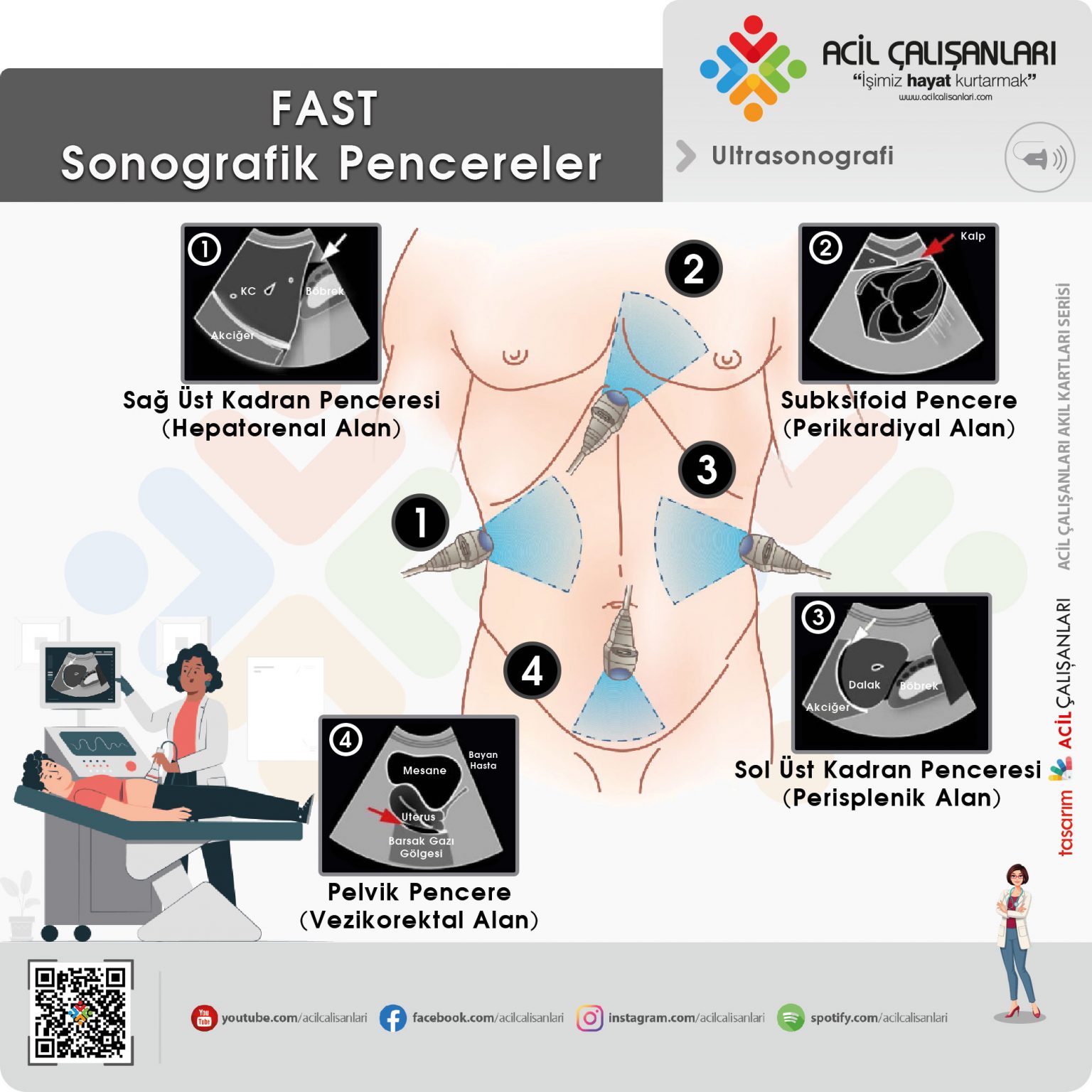FAST / E-FAST Protokolü | Acil Çalışanları