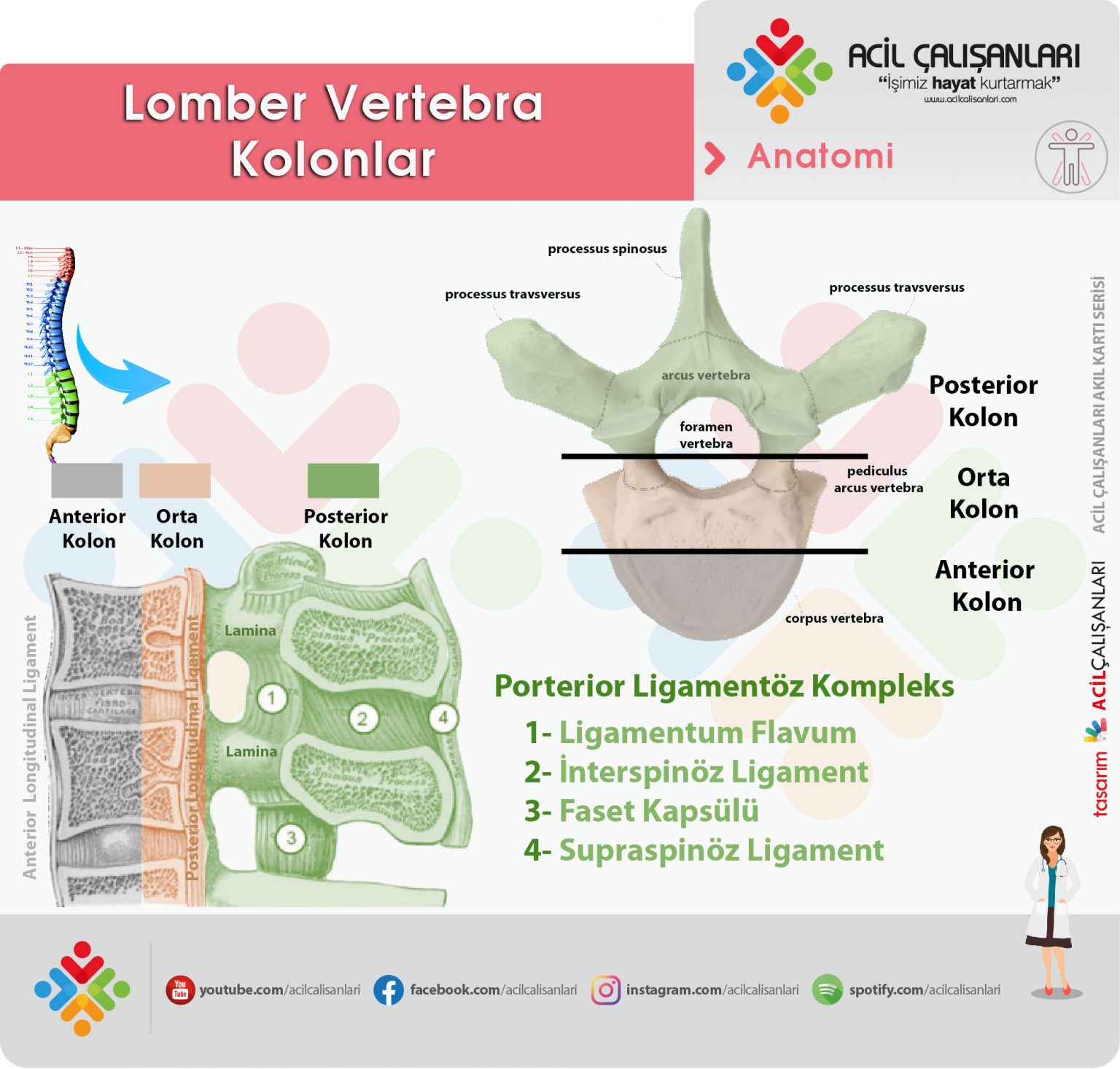 Lumbosakral Grafi Değerlendirme | Acil Çalışanları
