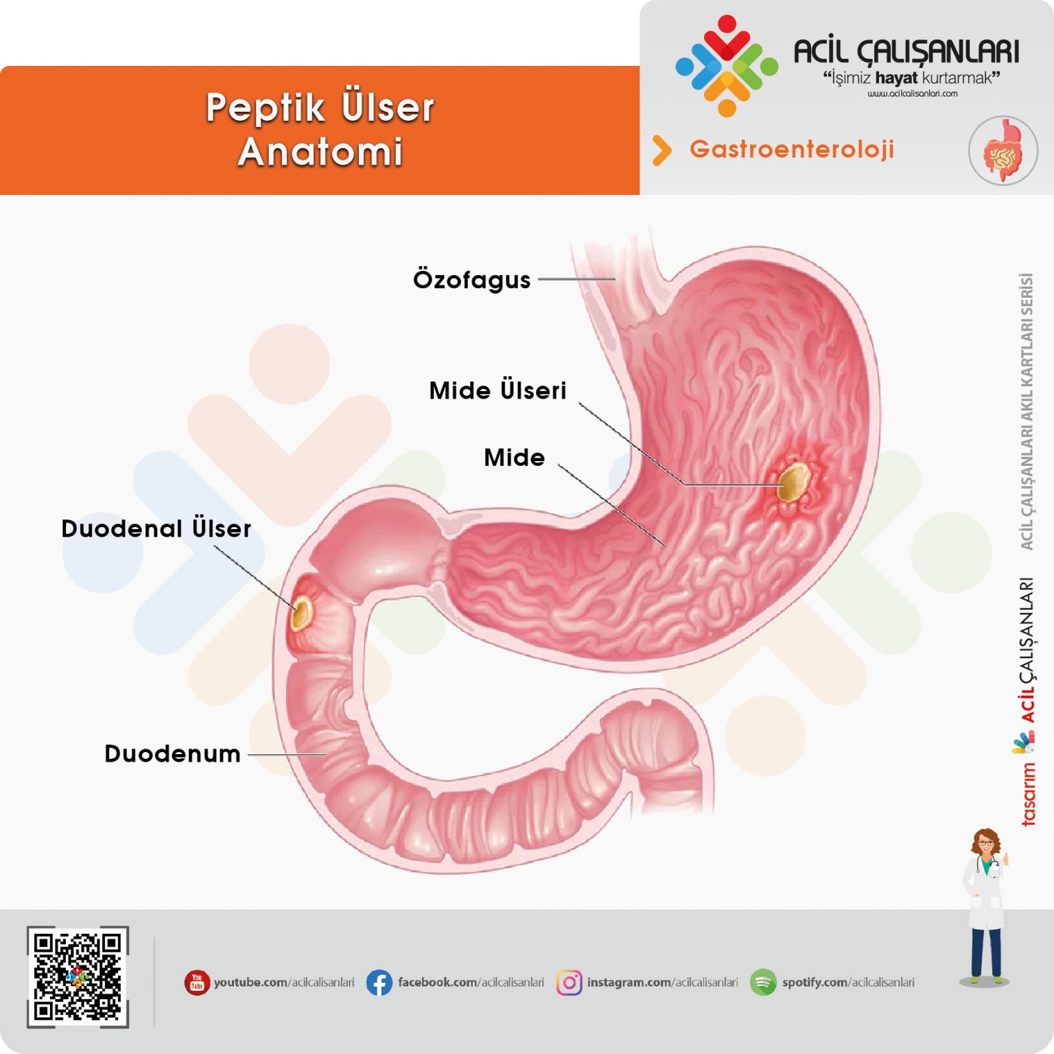 Peptik Ülser Hastalığı - Acil Çalışanları