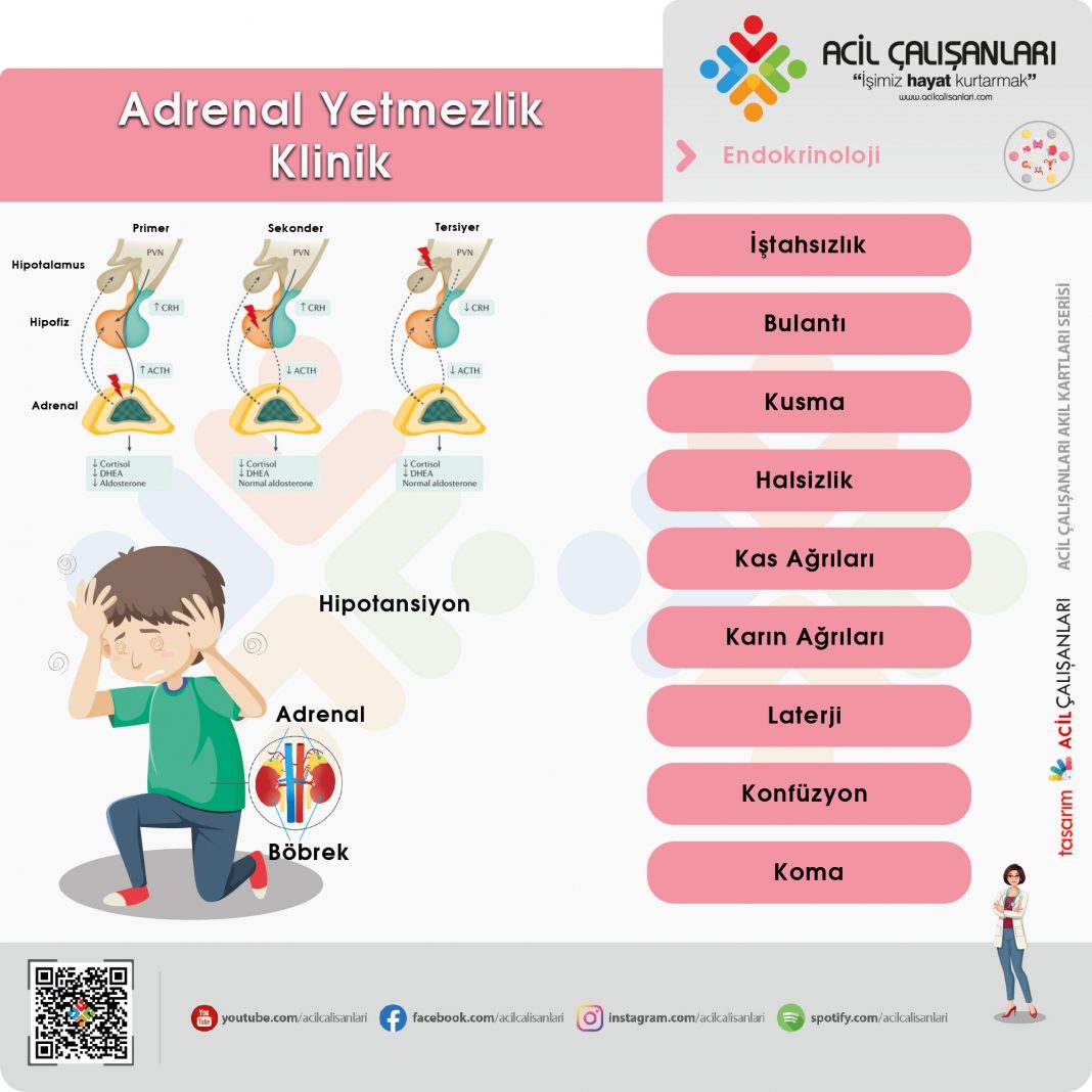 Adrenal Yetmezlik Acil Servis Yönetimi | Acil Çalışanları