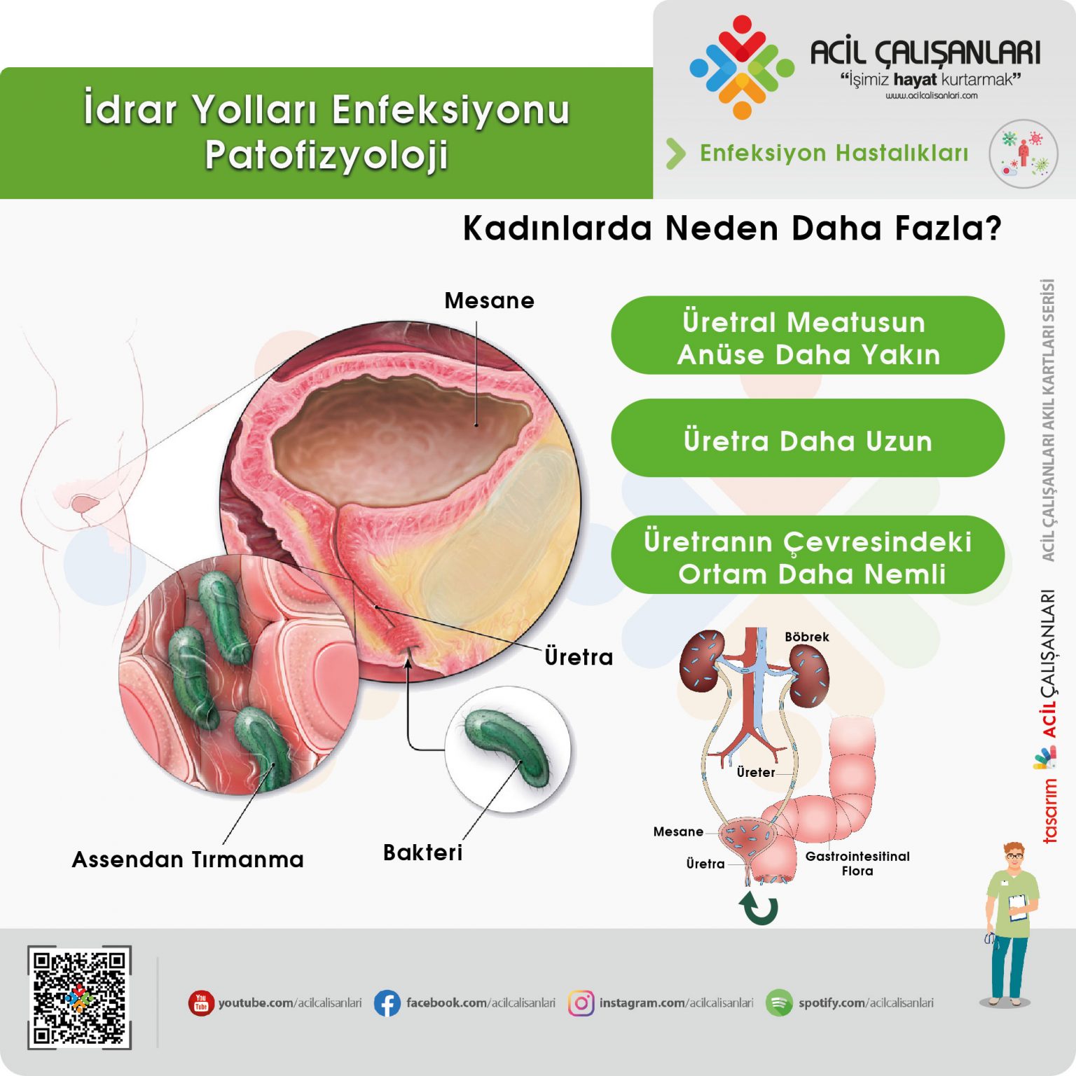 Üriner (İdrar Yolları) Sistem Enfeksiyonu Acil Yaklaşım | Acil Çalışanları