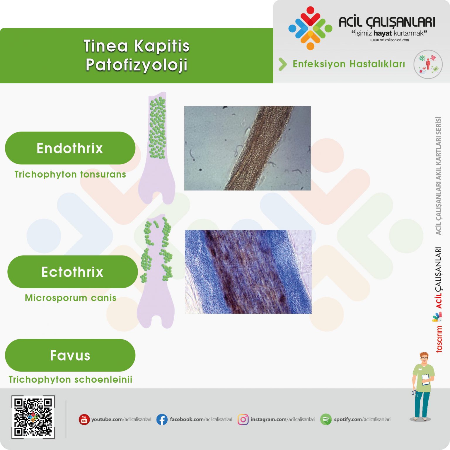 Tinea Kapitis (Saçlı Deri Mantarı) | Acil Çalışanları