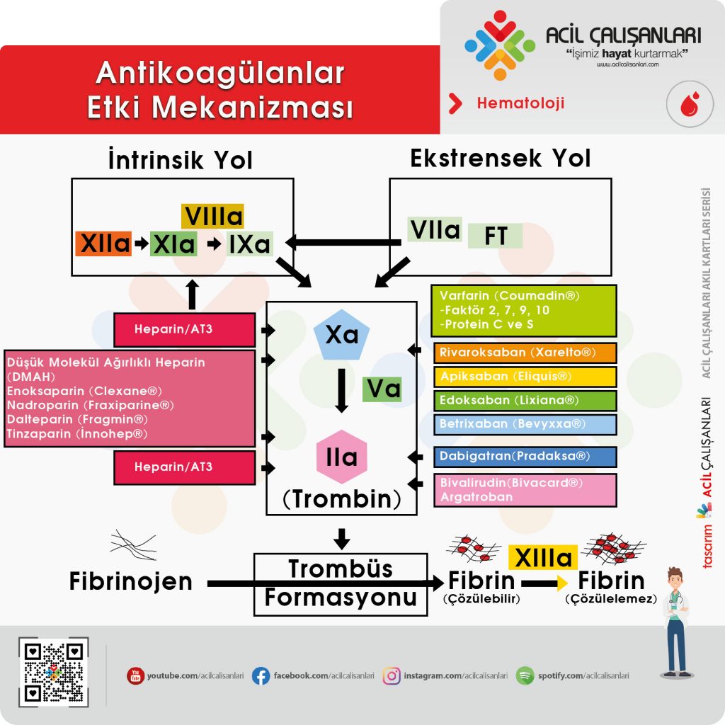 Enoksaparin (Clexane®, Oksapar®) Uygulama | Acil Çalışanları