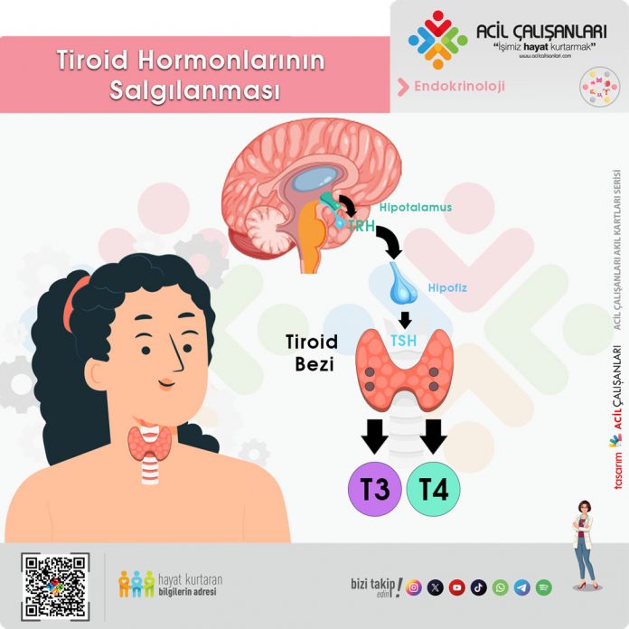 Tirotoksikoz Acil Yaklaşım | Acil Çalışanları