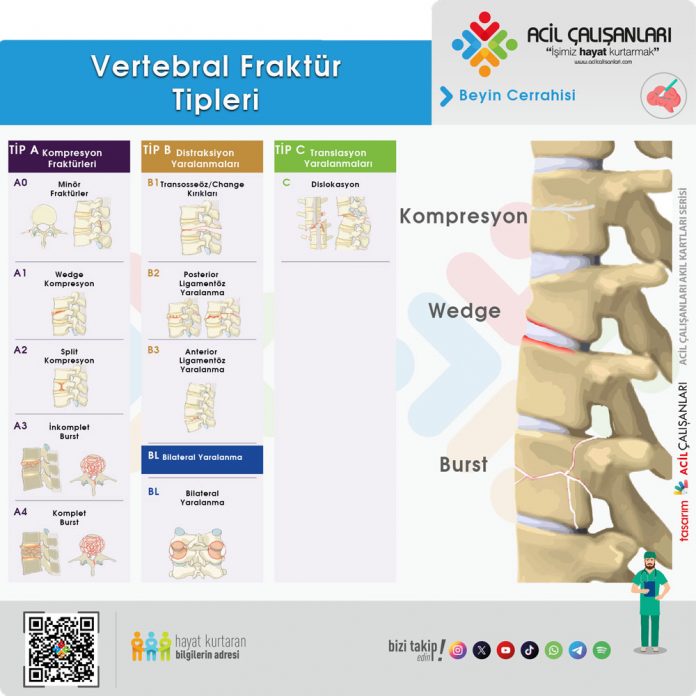 Torakal Vertebra Grafisi Değerlendirilmesi | Acil Çalışanları