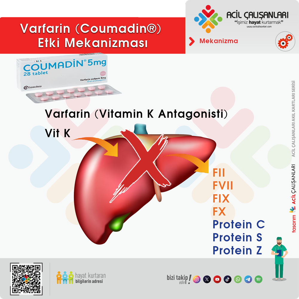 Kumadin (Coumadin®) (Varfarin) Uygulama | Acil Çalışanları